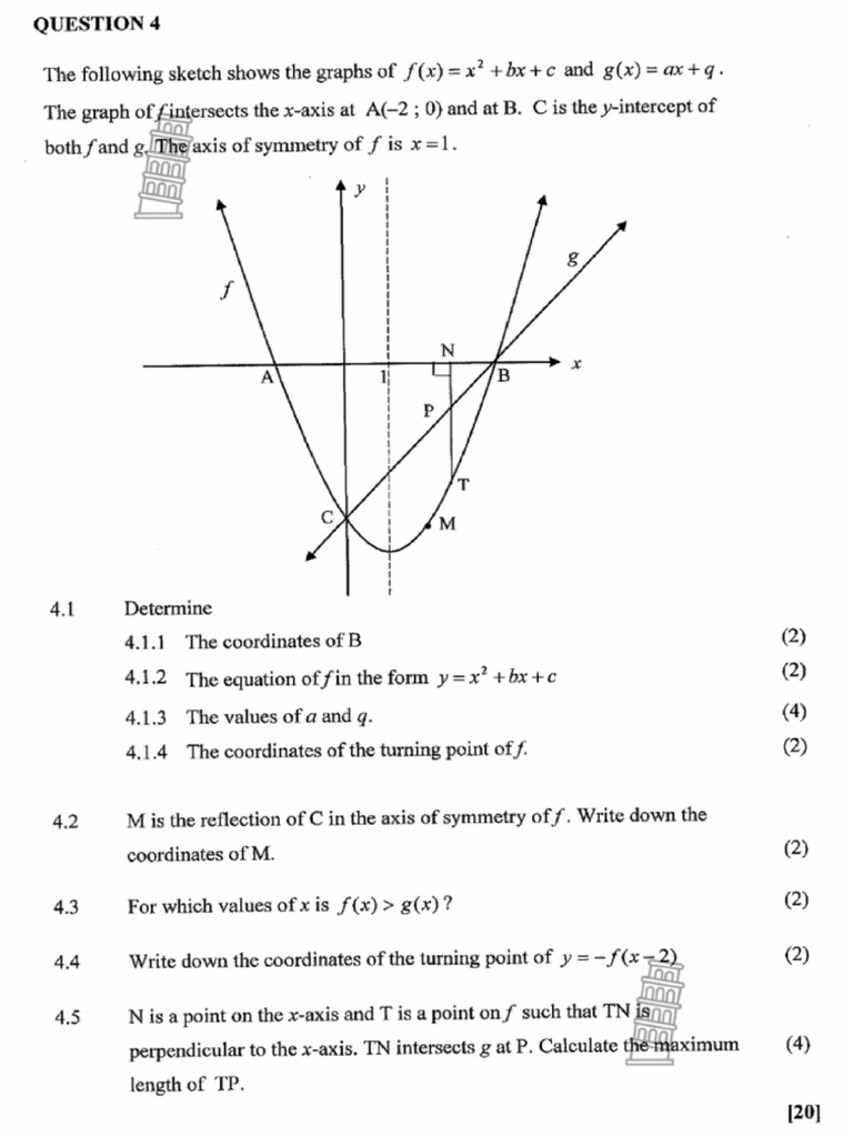Function Homework | PDF
