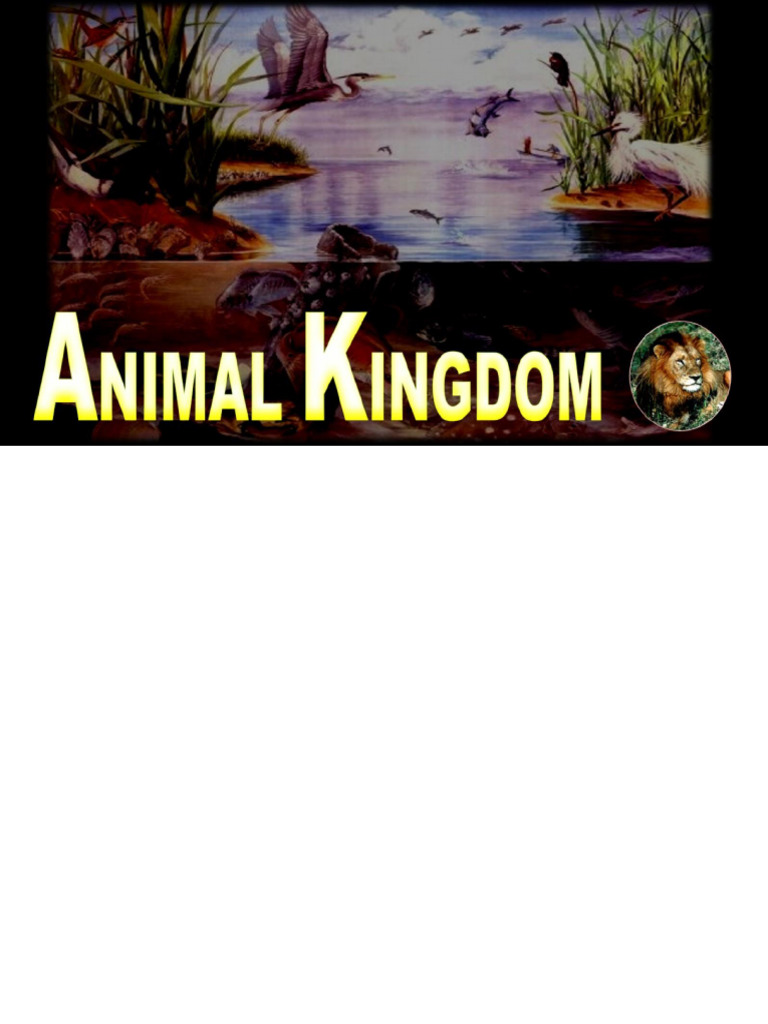 4 Animal Kingdom PDF | PDF