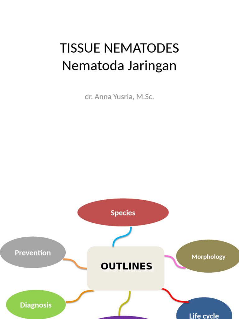 Tissue Nematodes | PDF | Medical Specialties | Diseases And Disorders