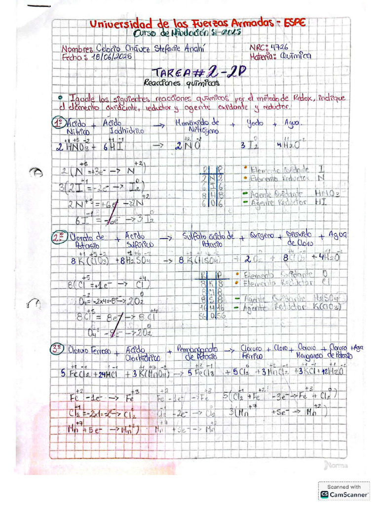Tarea 2-2P Química Reacciones Químicas. | PDF
