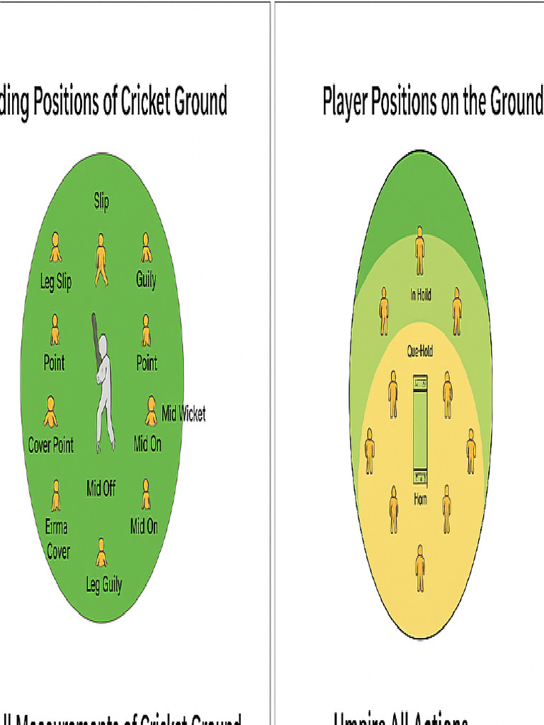 Cricket PHE Practical Big Images | PDF