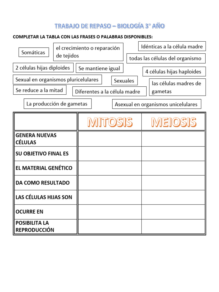 Ejercicio Mitosis VS Meiosis - Biologia de Secundaria | PDF