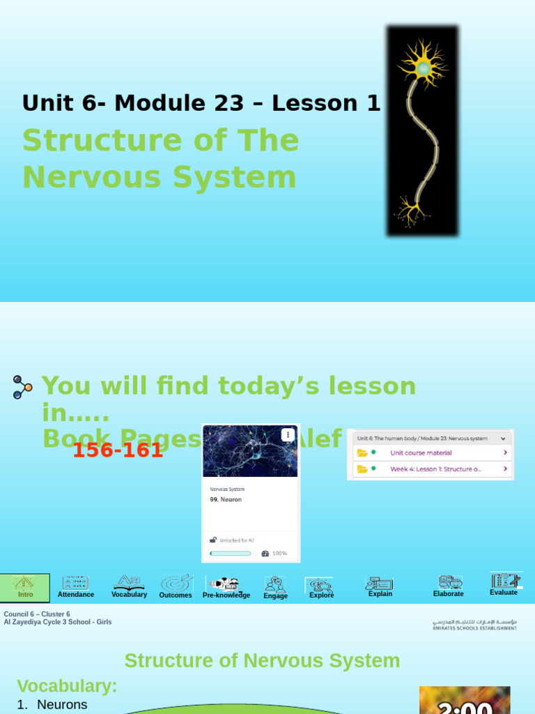 6.1 The Structure of Neurons | PDF | Neuron | Nerve