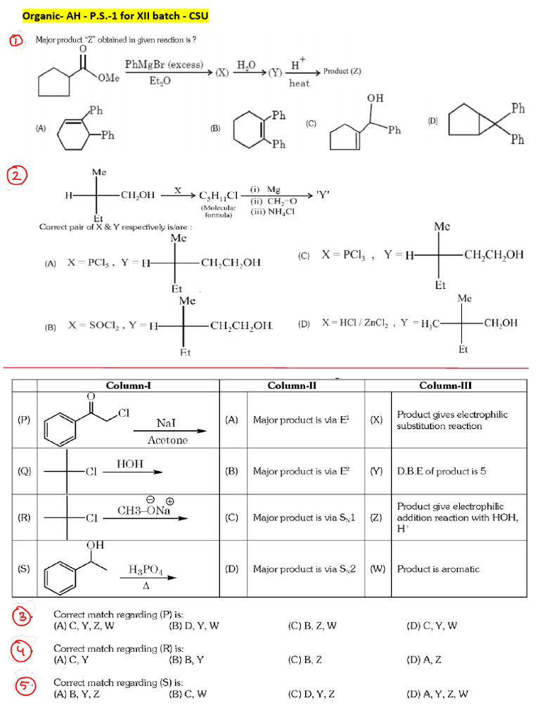 Org AH Practice Sheet 1 | PDF