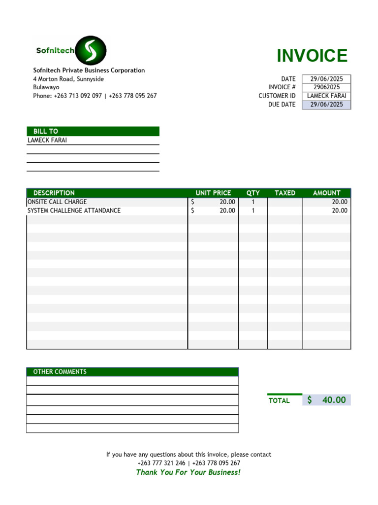 Invoice for Lameck Farai - 29/06/2025 | PDF