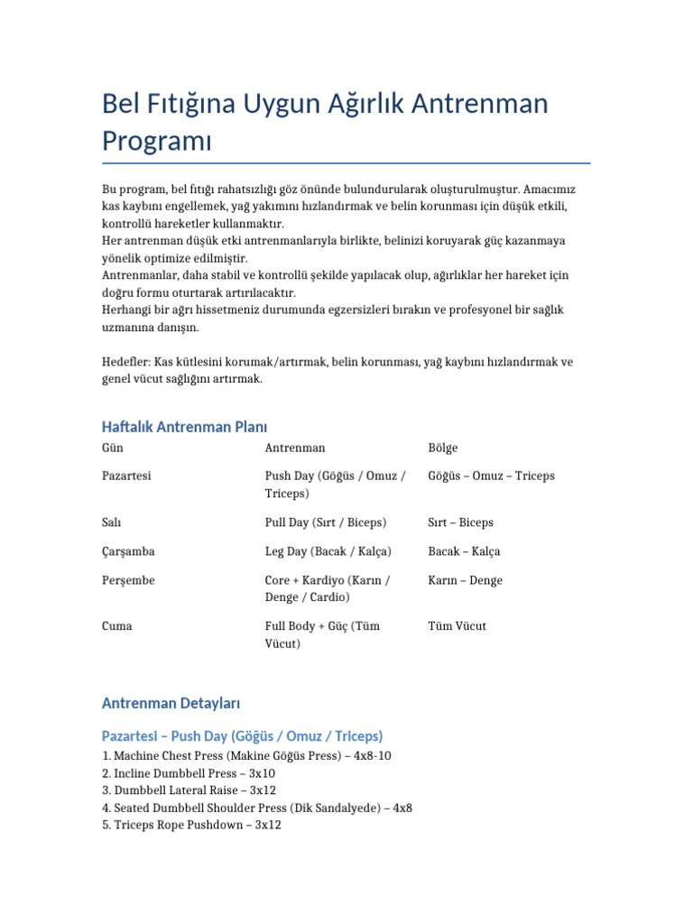 Bel Fitigi Agırlık Antrenman Programı | PDF