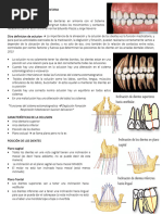 Código FDI: Guía para Odontólogos | PDF | Diente | Ramas de Odontología