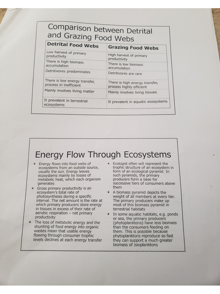 BIO202 | PDF