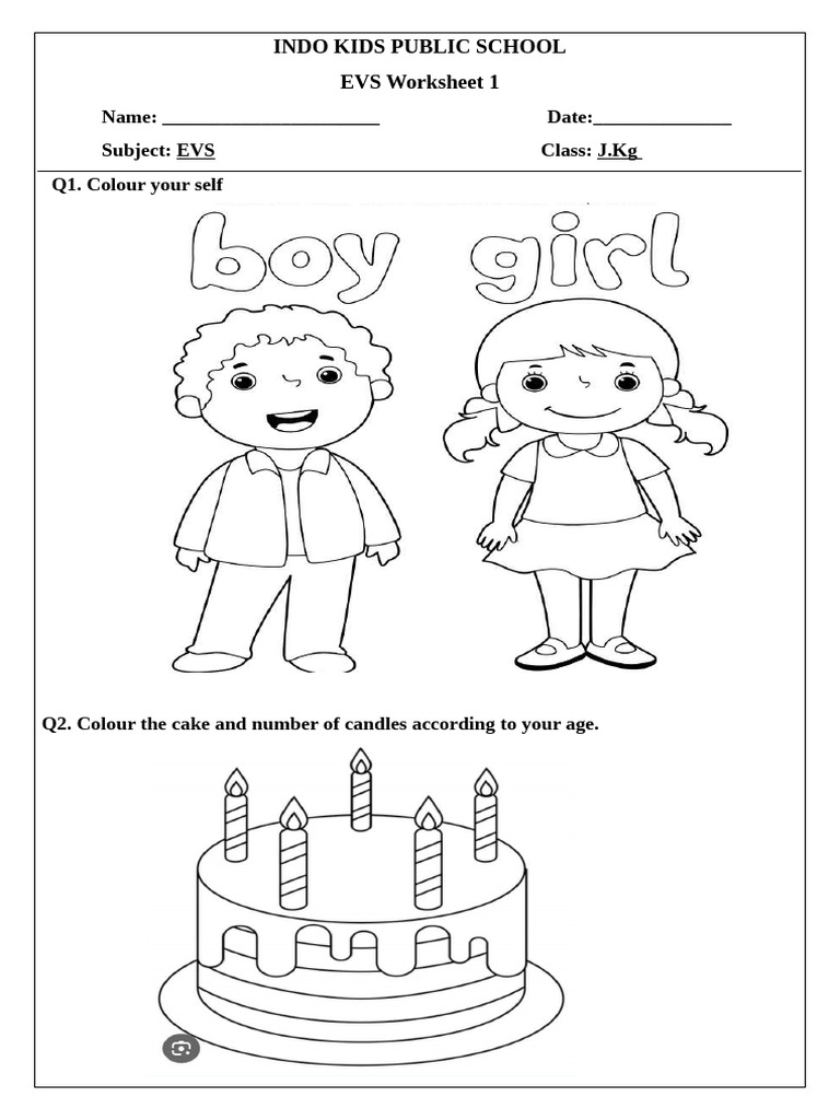 EVS Worksheet for Kindergarten Kids | PDF
