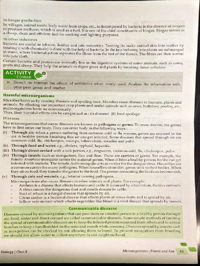 Bio Class 8 IMP-24 | PDF