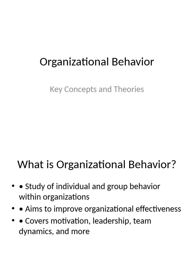 Organizational Behavior Presentation | PDF