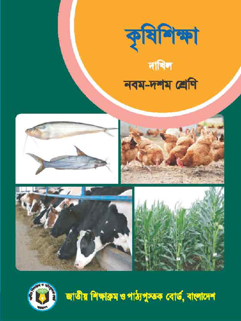 Dakhil 2019 Class (9 10) Krishe OPT | PDF