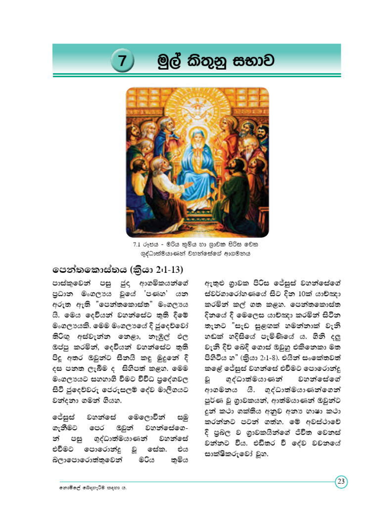 SG10 Cat Chapter7 | PDF