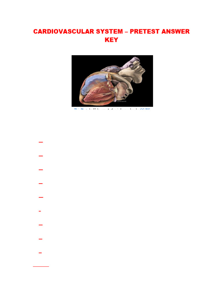 Cardiovascular System PreTest Key | PDF
