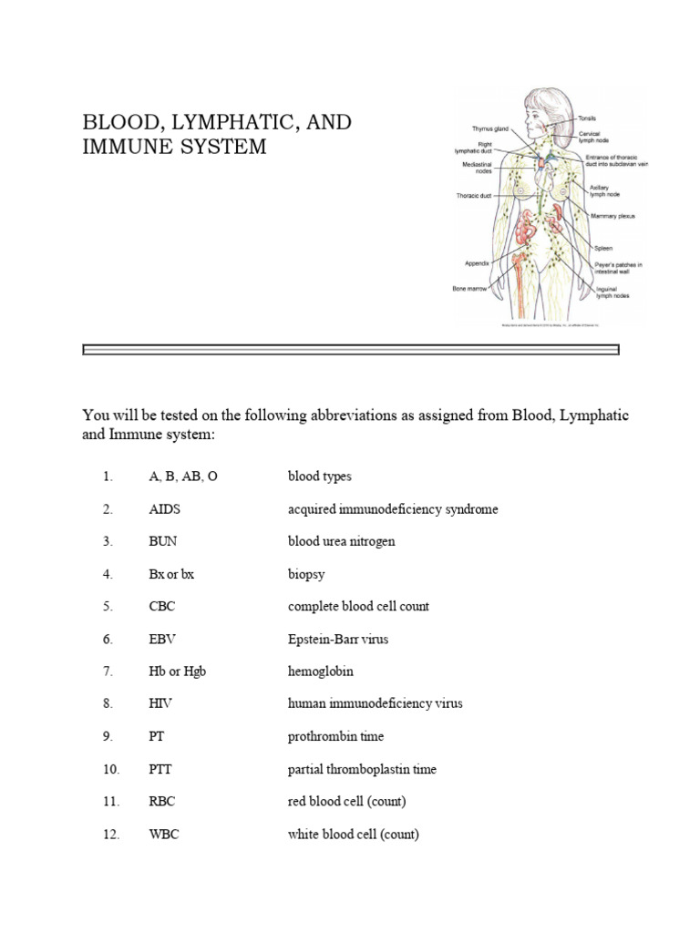 Blood, Lymphatic and Immune System Abbreviations1 | PDF