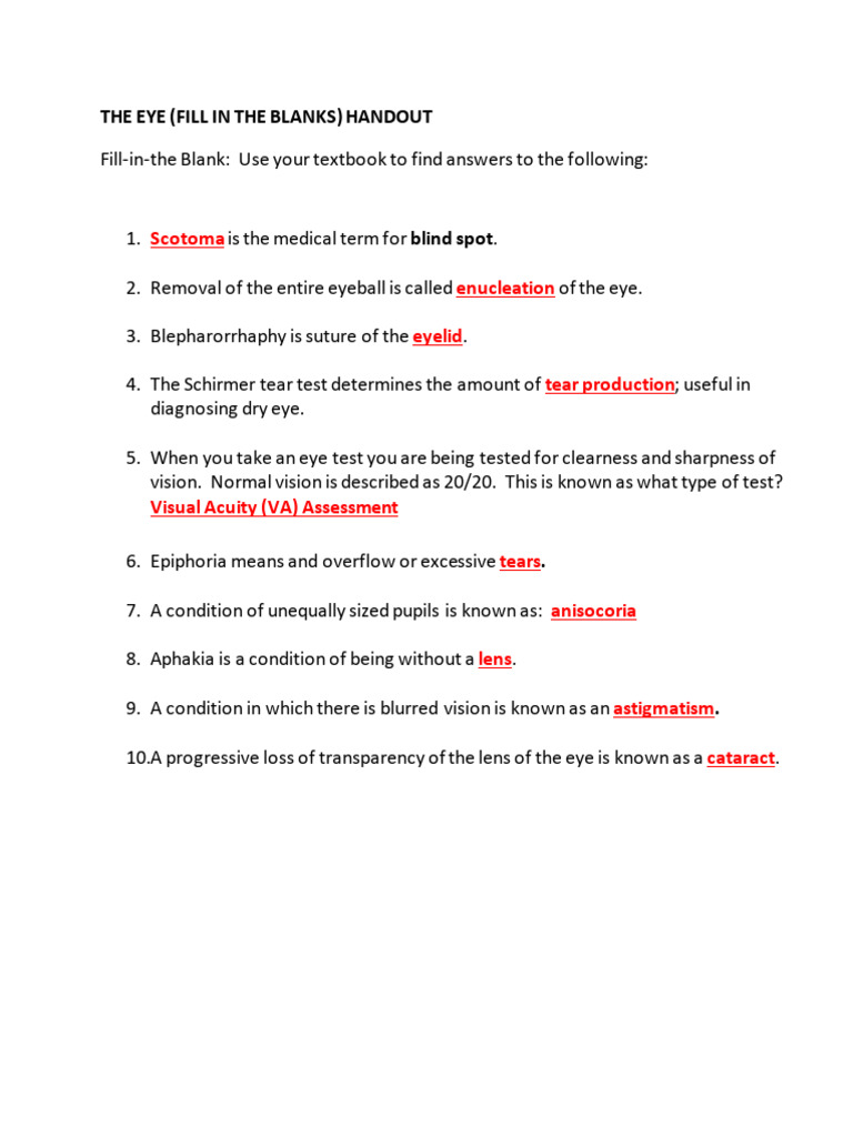 Chapter 13 The Eye FIB Handout Key | PDF
