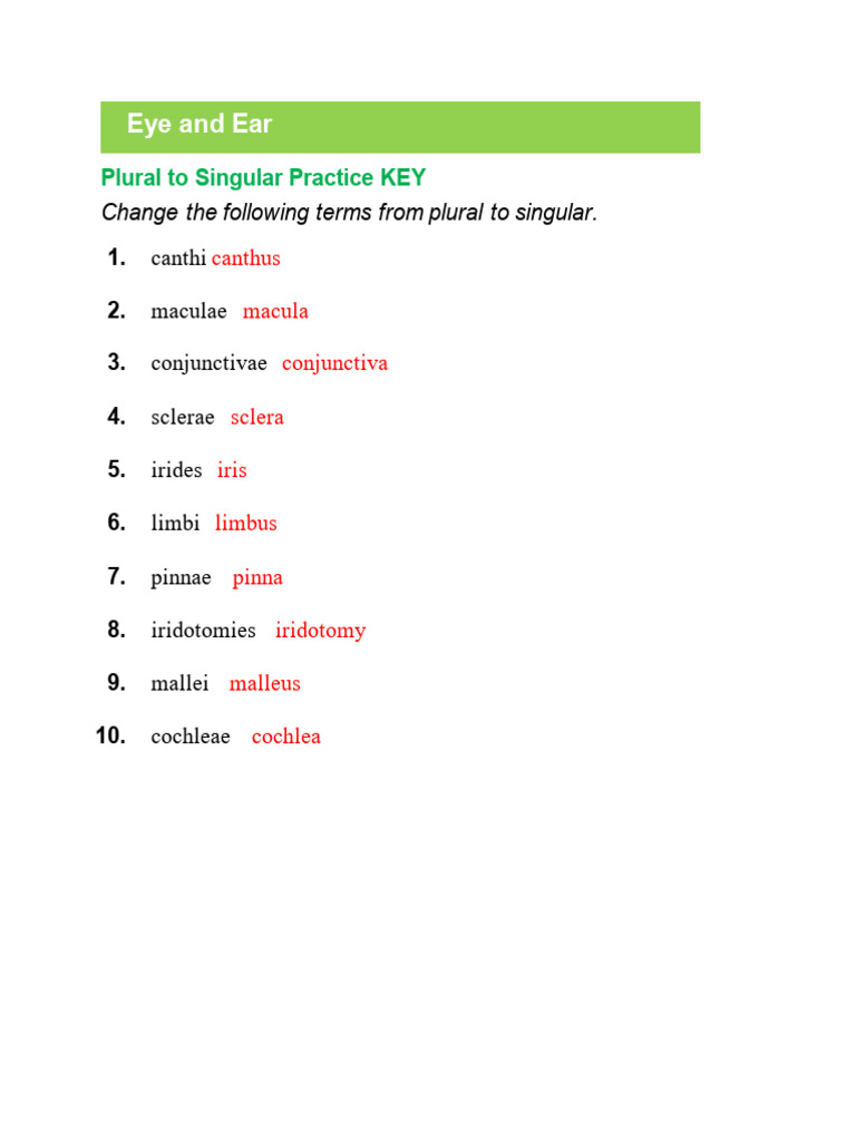 Plural to Singular Practice_Key | PDF