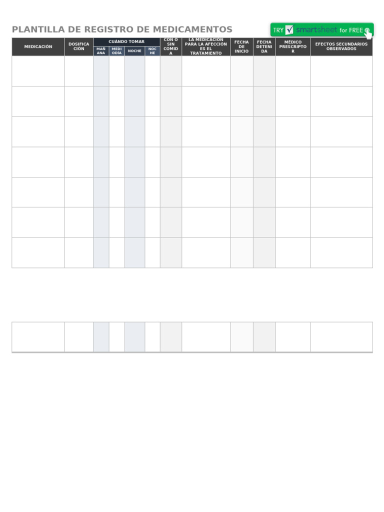 IC Medication Log Template 27219 - WORD - ES | PDF