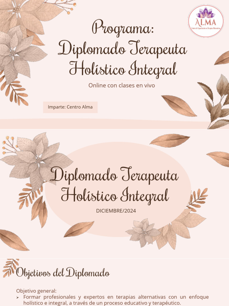 Programa Diplomado Terapeuta Holístico Integral DICIEMBRE 2024 | PDF | Programación ...
