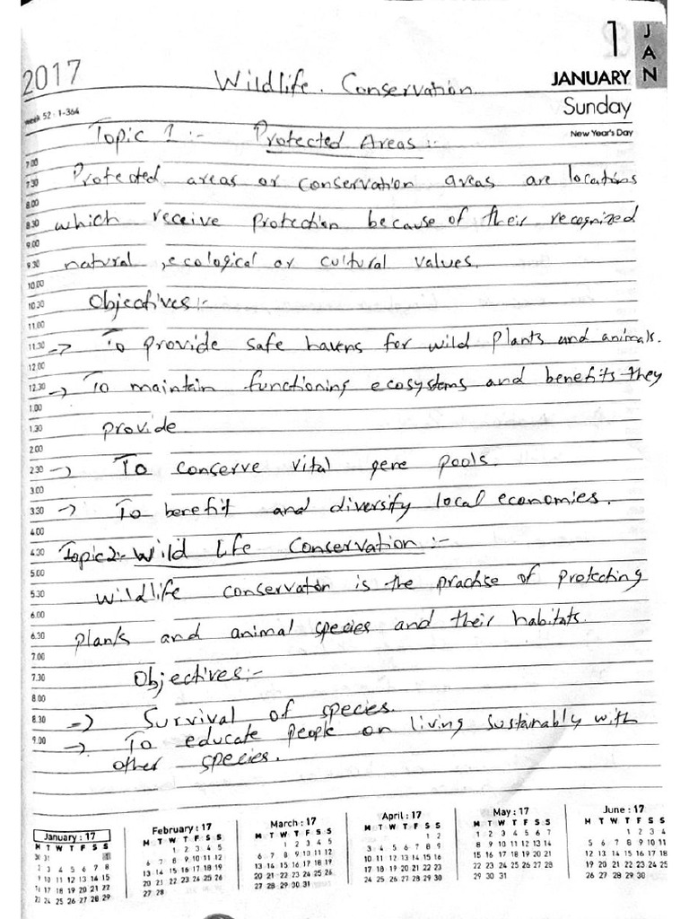 Wildlife Handwriting | PDF