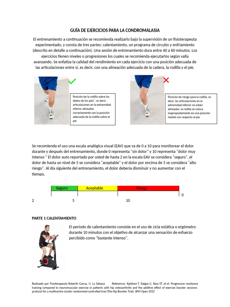 Guia Ejercicios para Rodilla | PDF | Rodilla