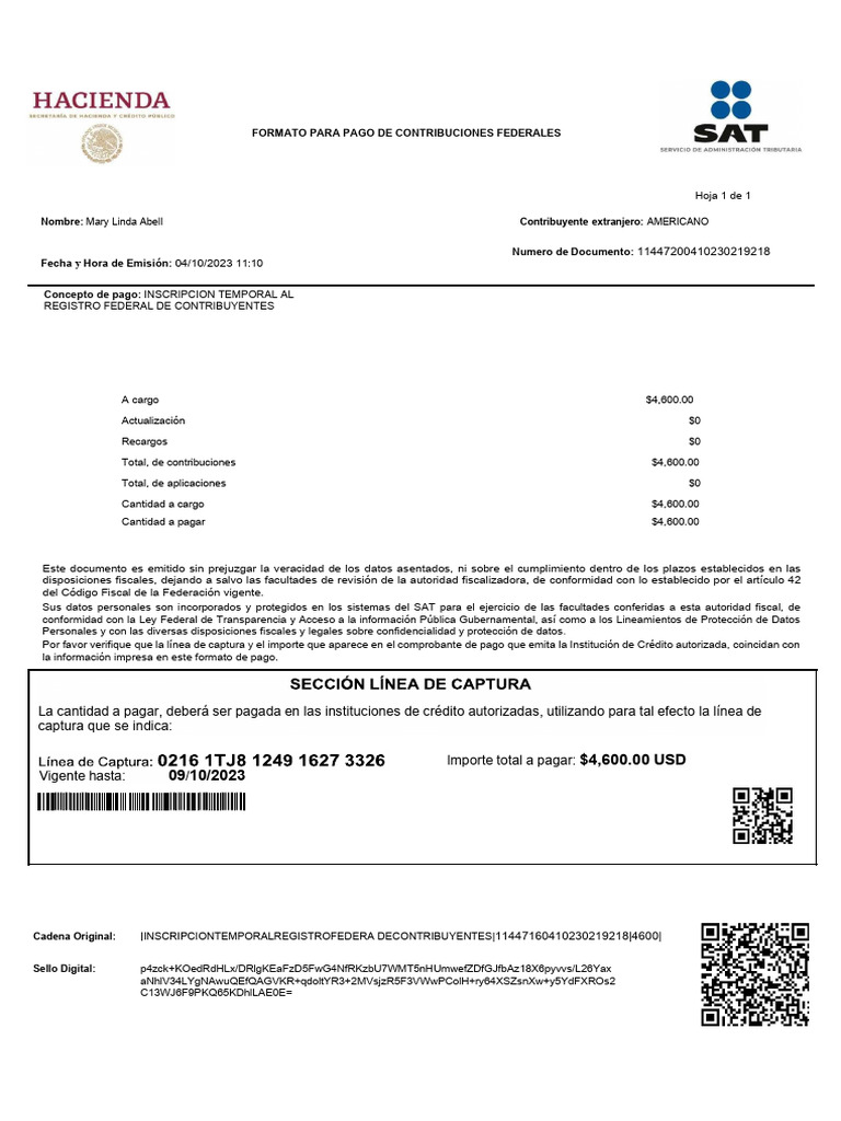 Sat Invoice | PDF