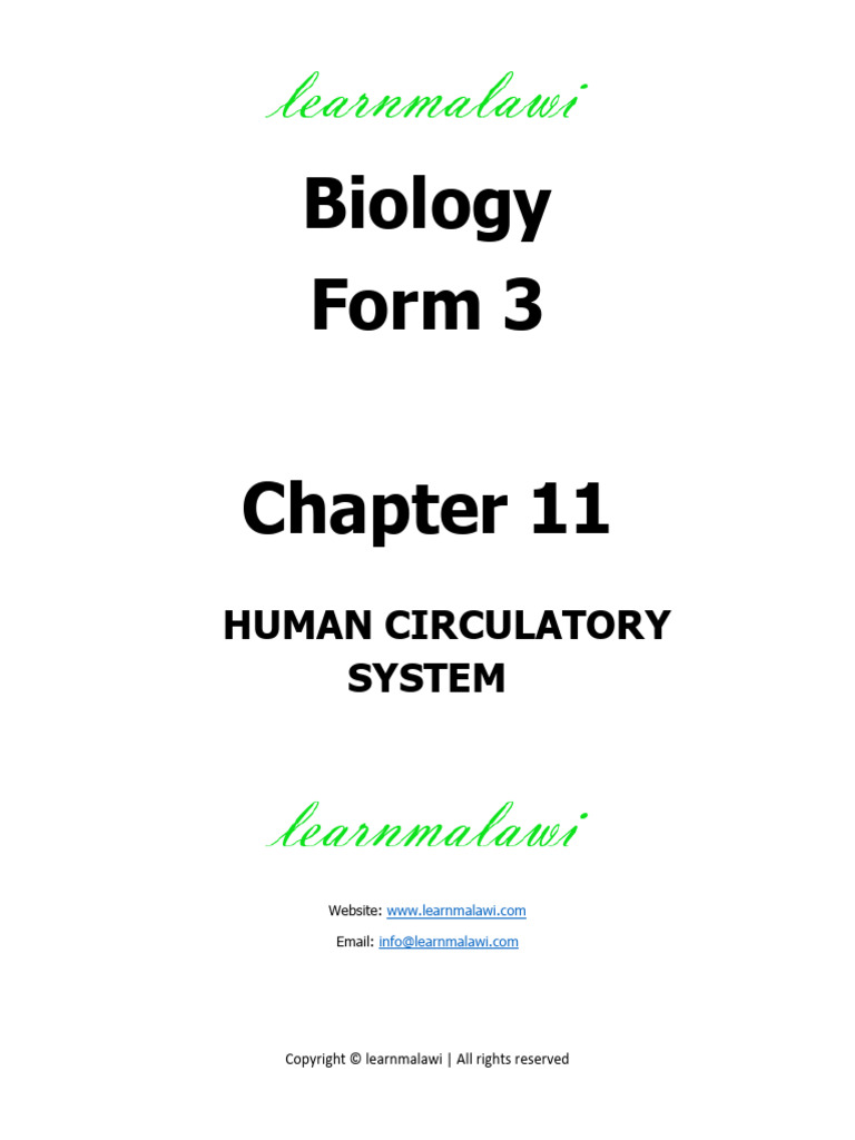 Human Circulatory System Overview | PDF | Ventricle (Heart) | Heart Valve