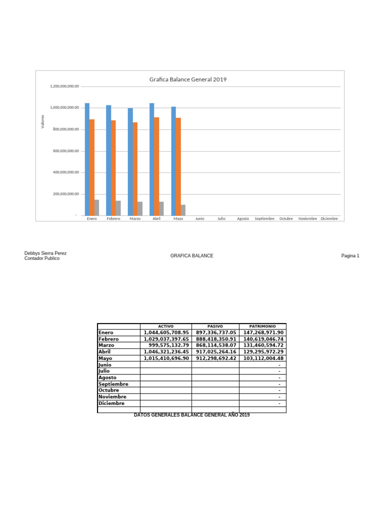 Gráfica de Balance General 2019 | PDF | Hoja de balance | Business