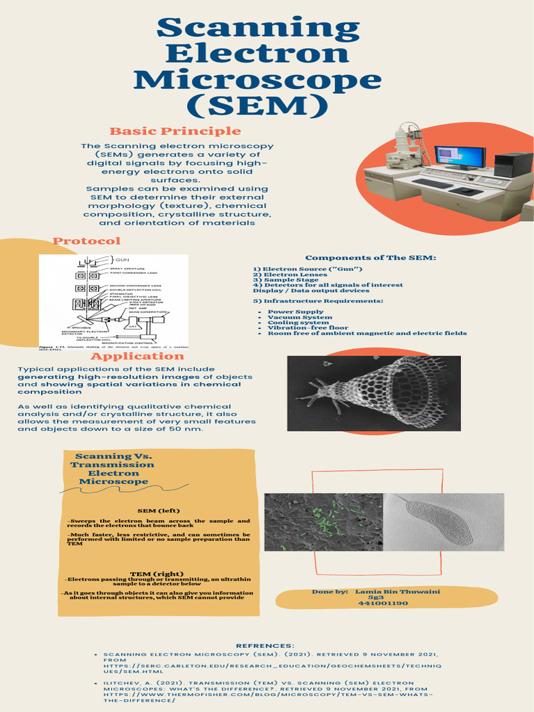 Scanning Electron Microscope (SEM) | PDF | Scanning Electron Microscope | Transmission Electron ...