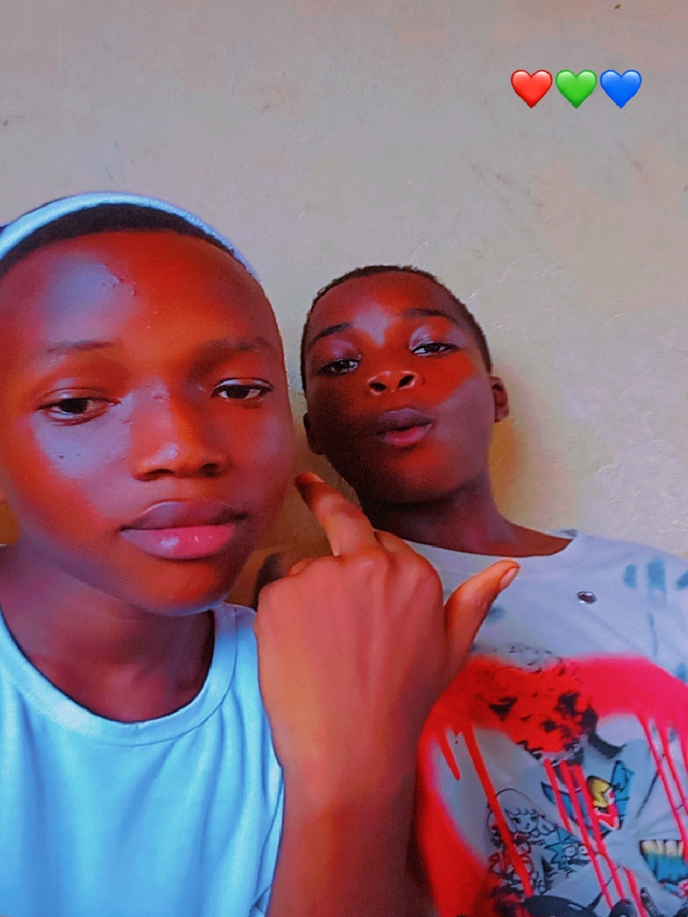 Downloadfile Bin | PDF