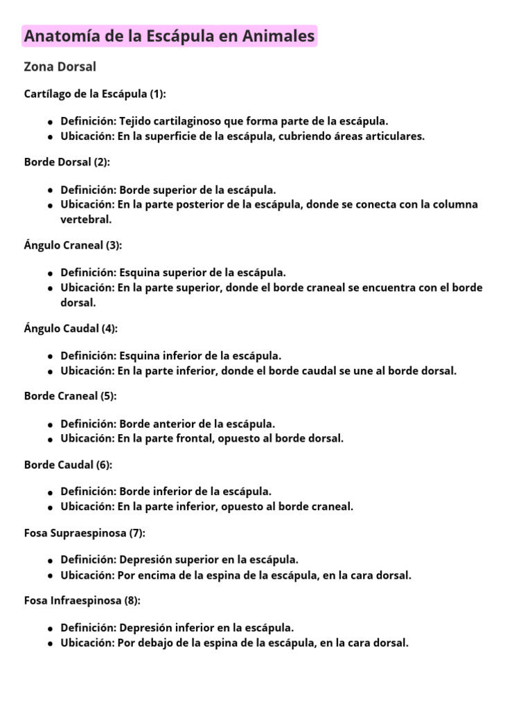 Anatomía de La Escápula - 20250610 - 230923 - 0000 | PDF | Términos ...