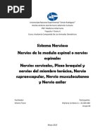 Miotomas - Definición y Pruebas - Kenhub | PDF | Codo | Neuroanatomía