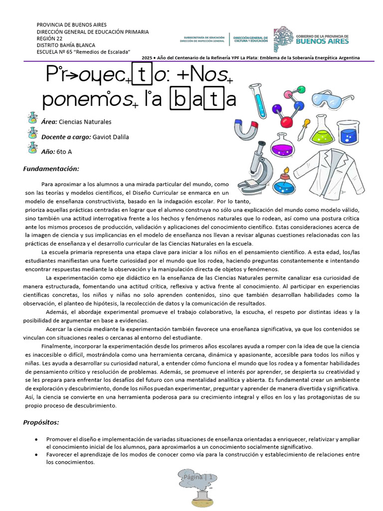 Proyecto Nos Ponemos La Bata | PDF | Ligero | Enseñando