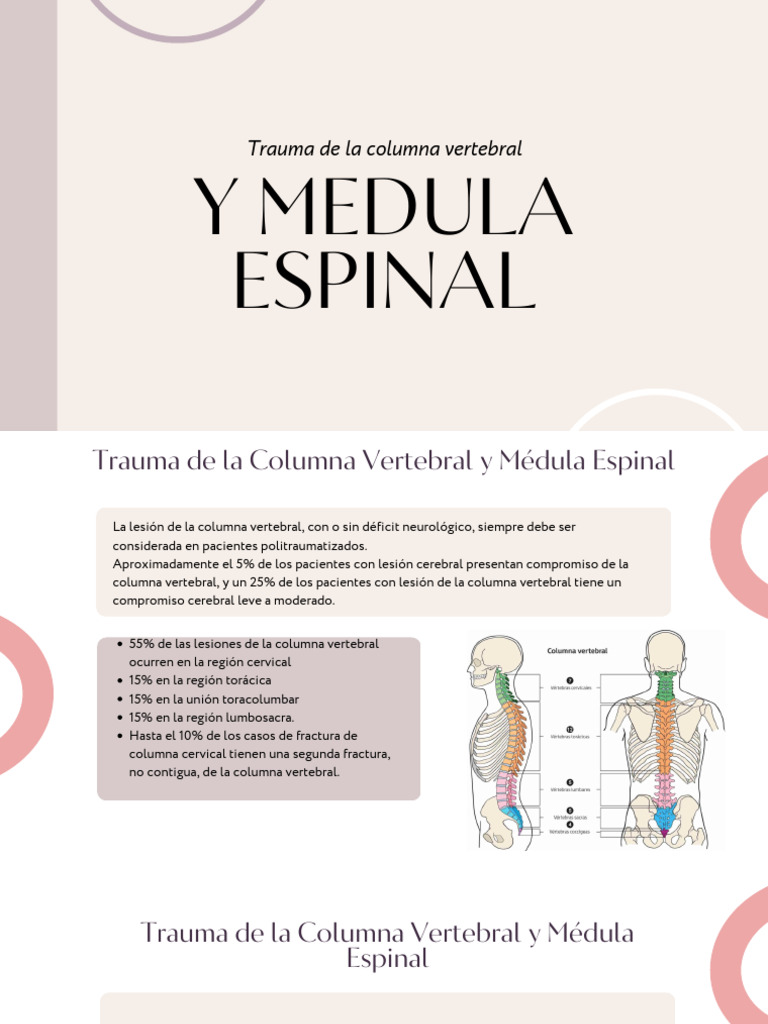 Trauma de Columna y Médula Espinal | PDF | La columna vertebral ...