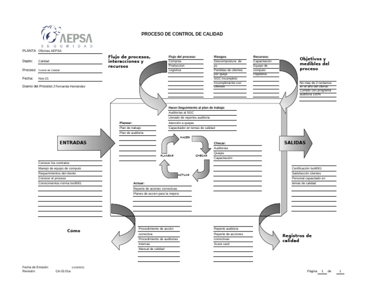 Control de Calidad en Planta AEPSA | PDF | Auditoría | Business