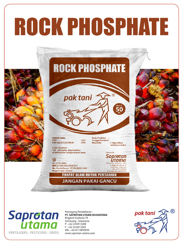Rock Phosphate EBrosur - 2023 | PDF