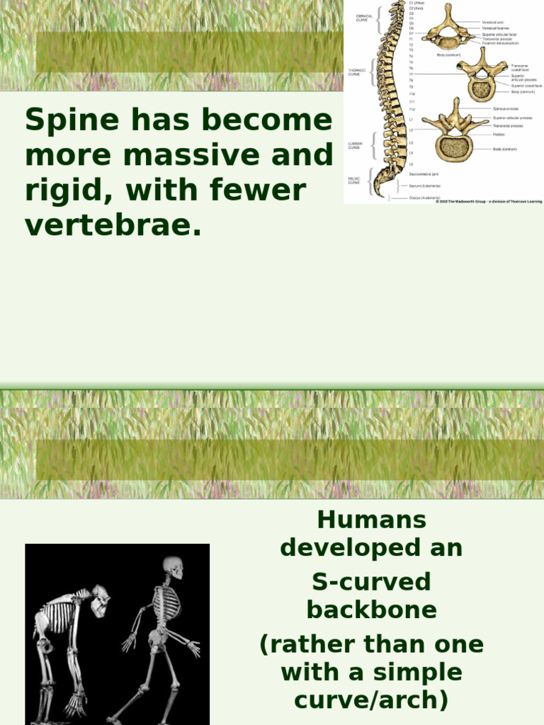 5885 Aa 67 Bea 0 | PDF