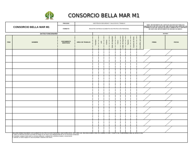 Formato Entrega de Epp - Consorcio Bella Mar m1 | PDF