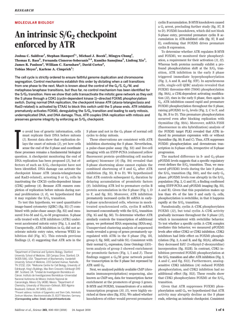 An Intrinsic S:G2 Checkpoint Enforced by ATR | PDF | Cell Biology ...