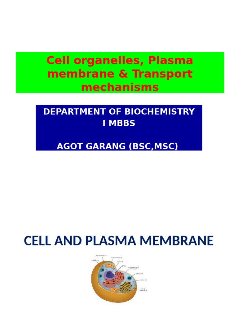 Cell Organelles and Mechanism of Transportation Components Across Plama ...