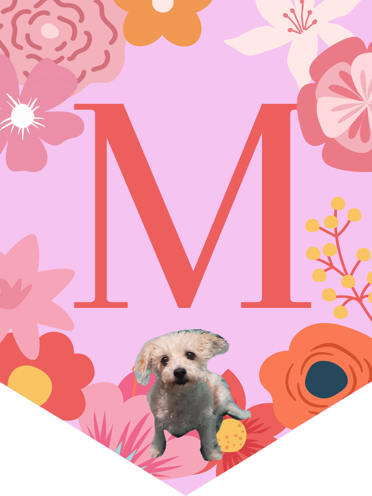 Banderin Con Letra y Dibujos de Flores Rosa y Naranja_20241216_003629 ...