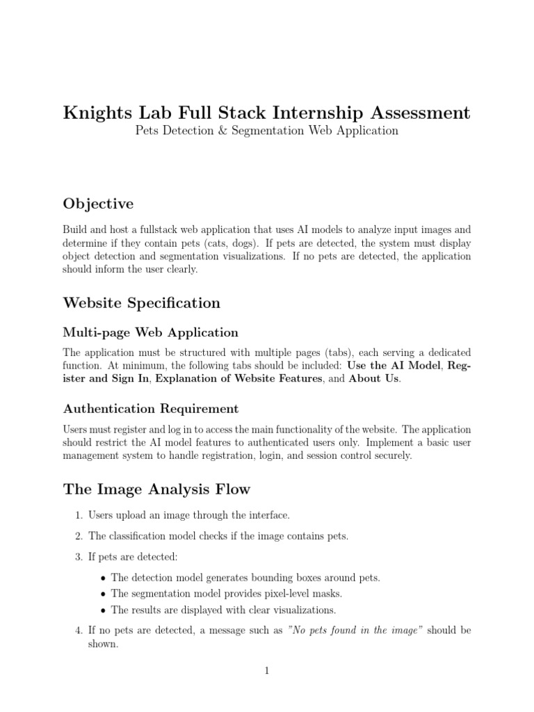 Knights Lab Full Stack Internship Assessment | PDF | Image Segmentation ...