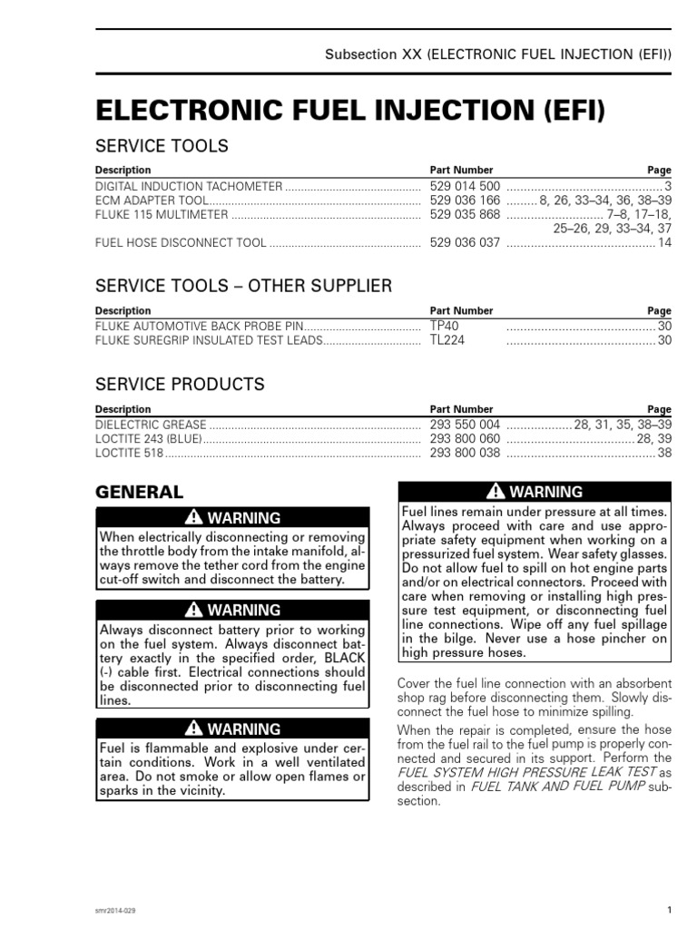 Electronic Fuel Injection EFI | PDF | Throttle | Fuel Injection
