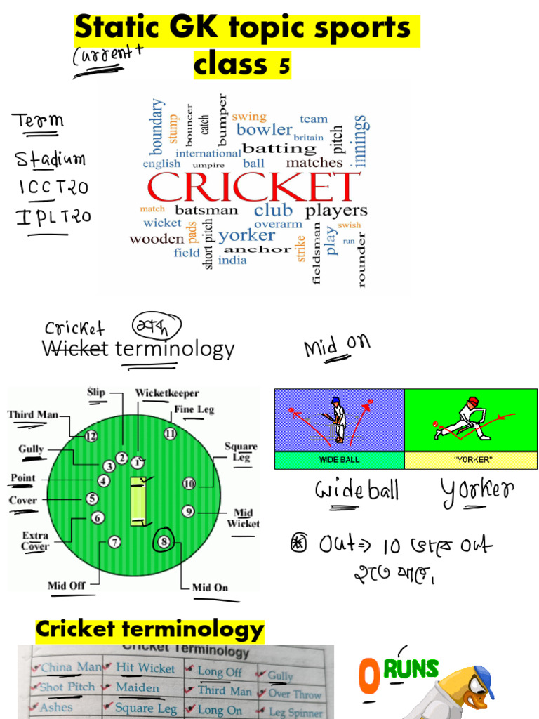 Cricket Terminology and Stadiums Guide | PDF