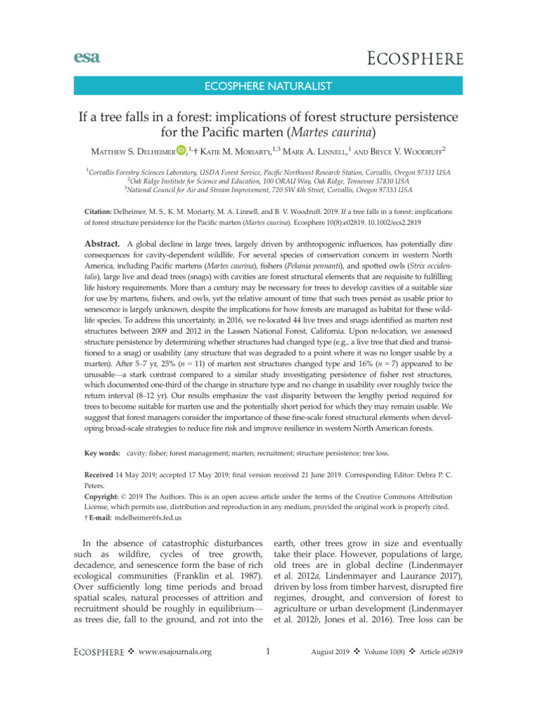 If A Tree Falls in A Forest Implications of Forest | PDF | Forests ...