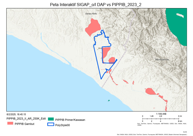 DAP o - L PIPPIB - 2025 - 2 | PDF