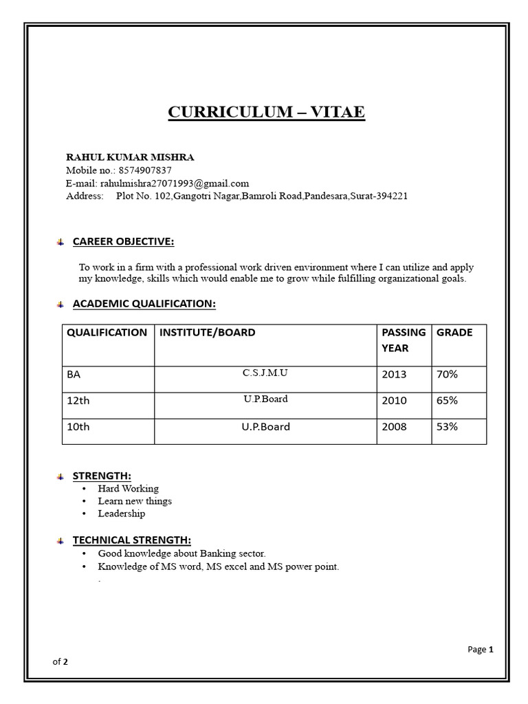 Rahul Mishra CV PDF (1) | PDF
