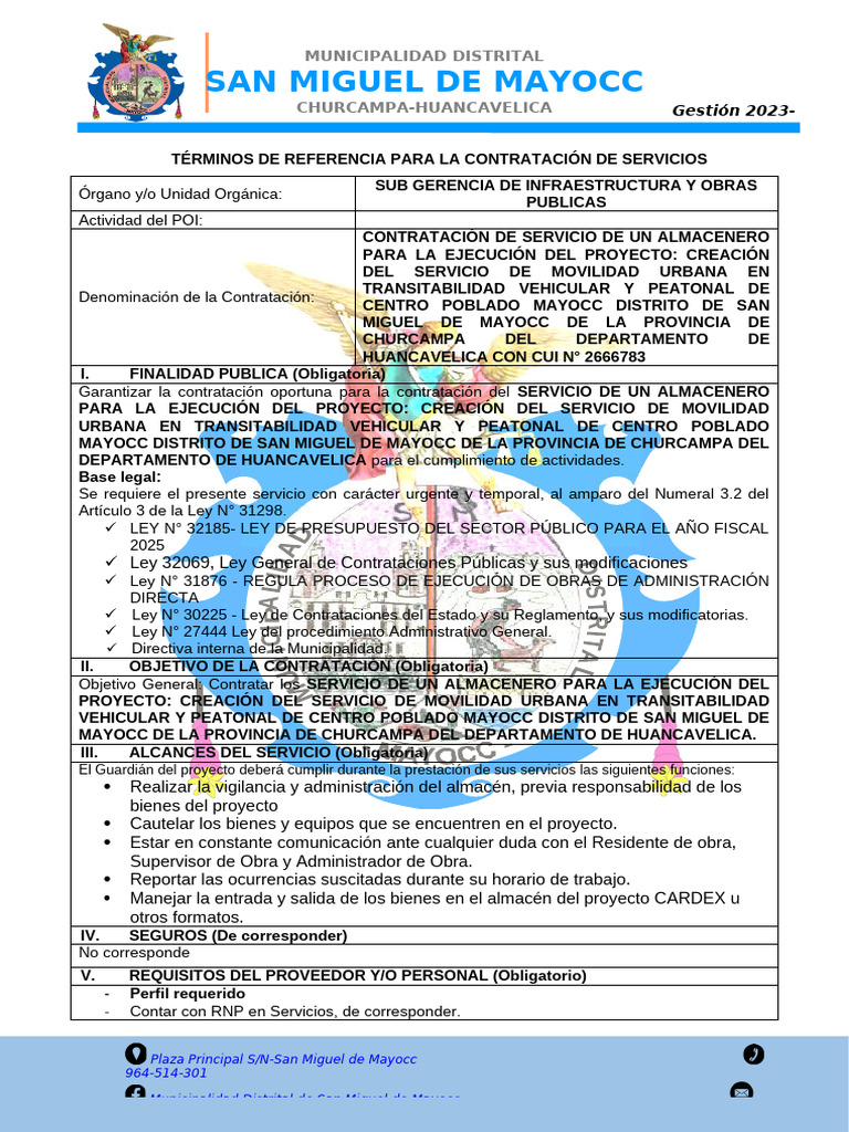 TDR Almacenero | PDF | Gobierno