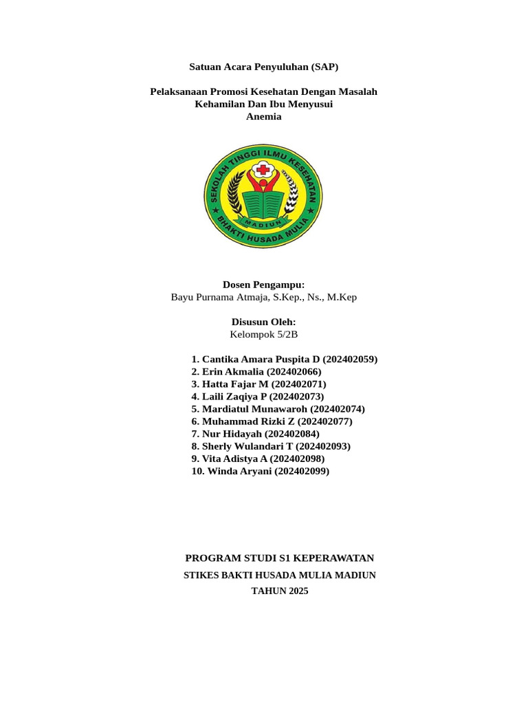 Sap Pak Bayu Masalah Kehamilan Dan Menyusui (Anemia) | PDF