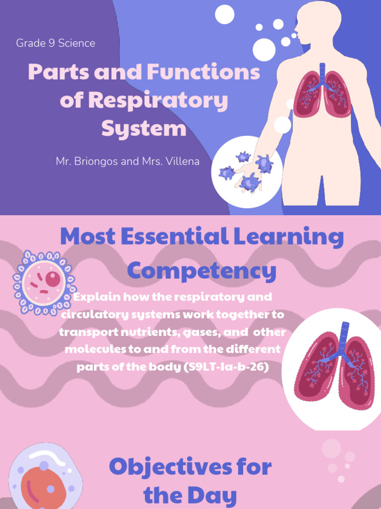 Parts and Function of Respiratory System | PDF | Respiratory Tract ...
